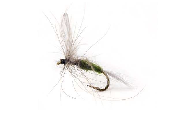 CDC Blue Wing Olive | CDC Fliegen | Fliegen | Paderfliegen